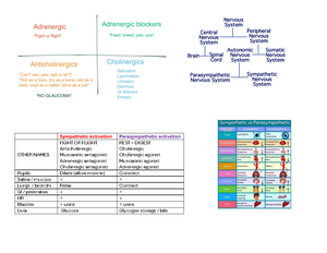 Reproductive/Endocrine Webpath - Endocrine Missed periods 2/2 ...