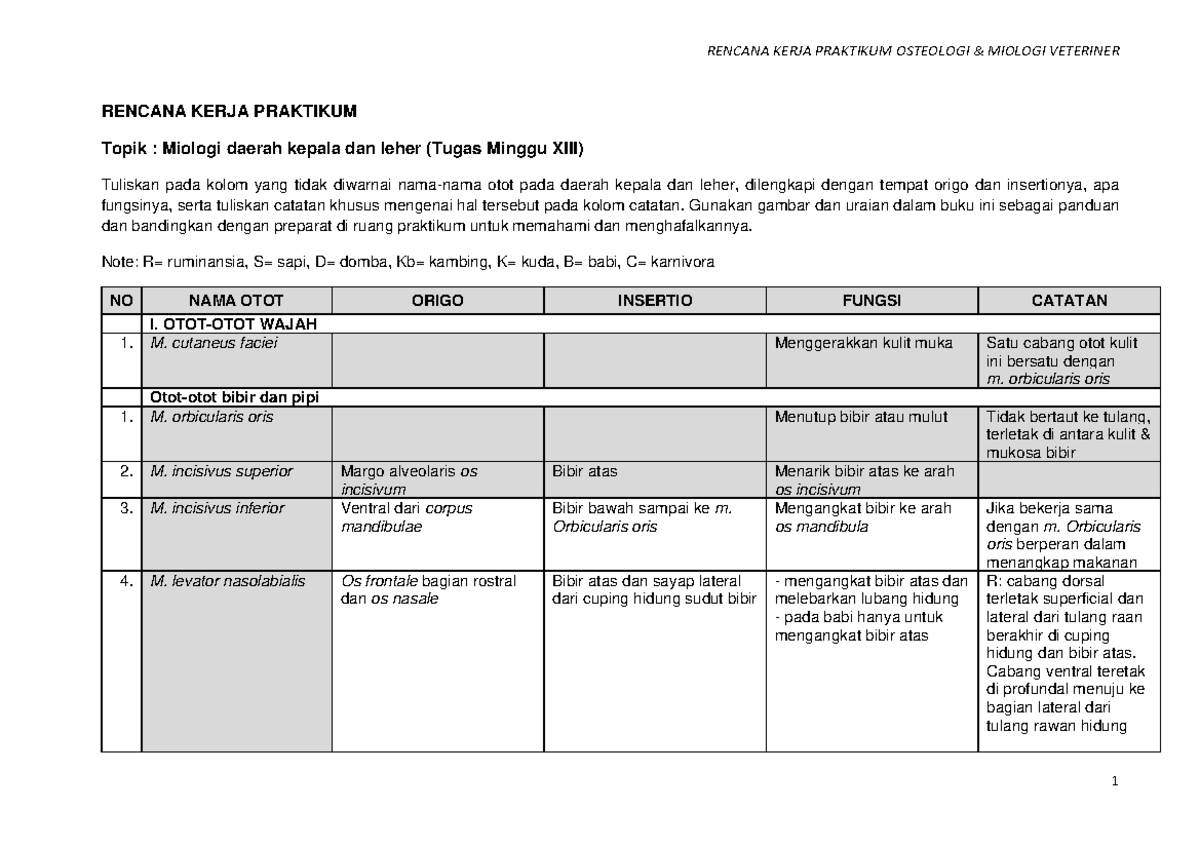RKP Miologi Kepala dan Leher: Otot, Origo, Insertion, dan Fungsi - Studocu