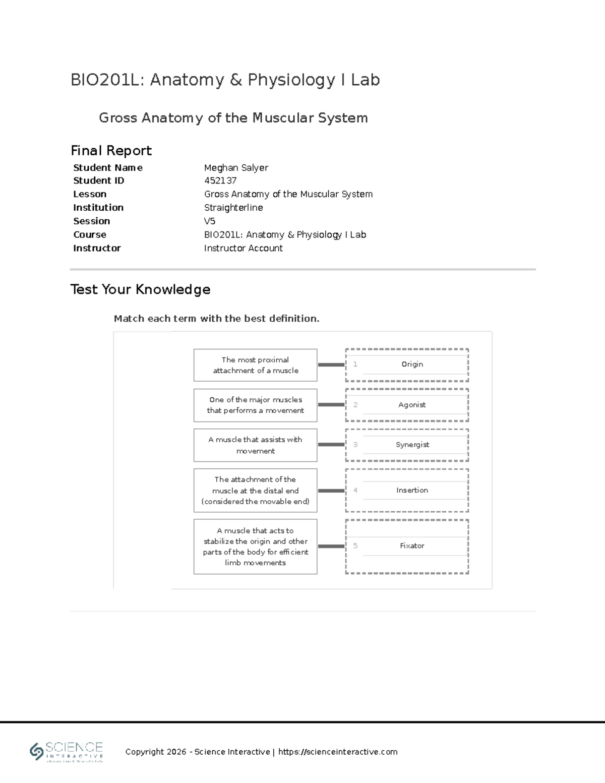 BIO201L: Gross Anatomy of the Muscular System Final Report - Studocu