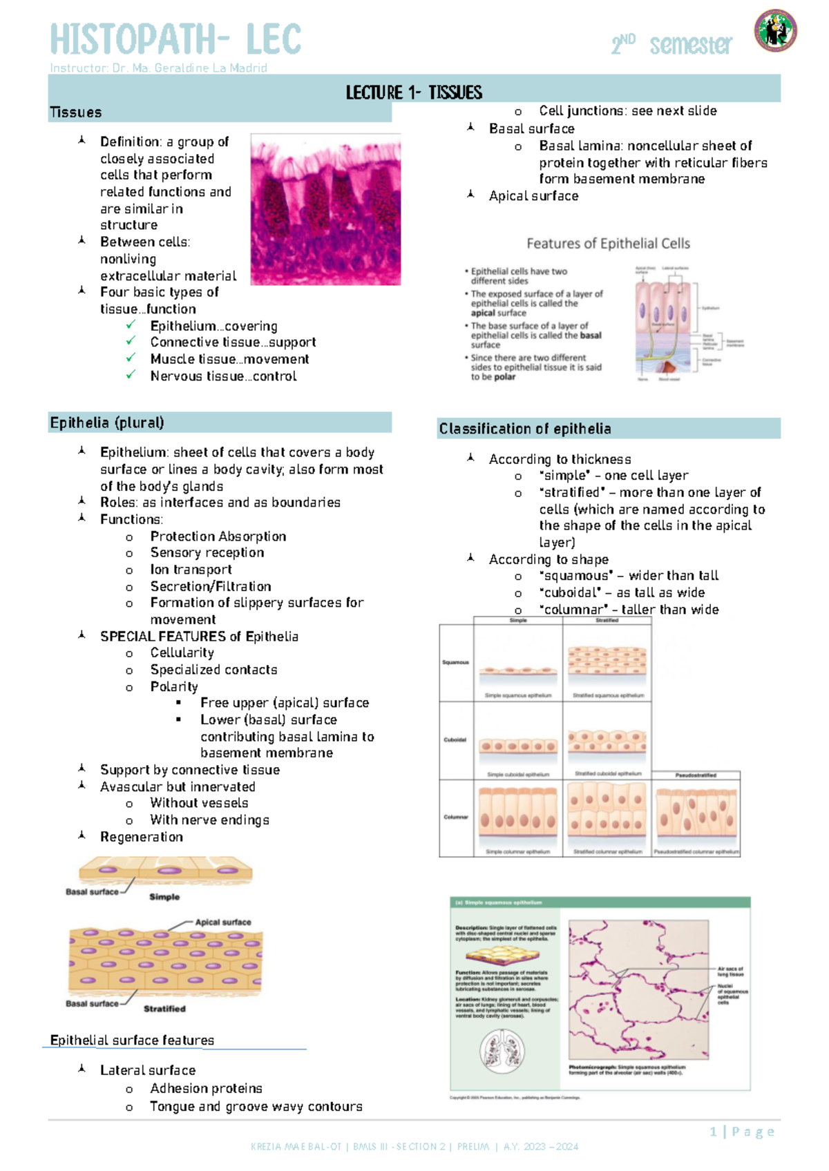 Histopathology Lecture 1: Tissues Overview - HISTOPATH-LEC 2 - Studocu