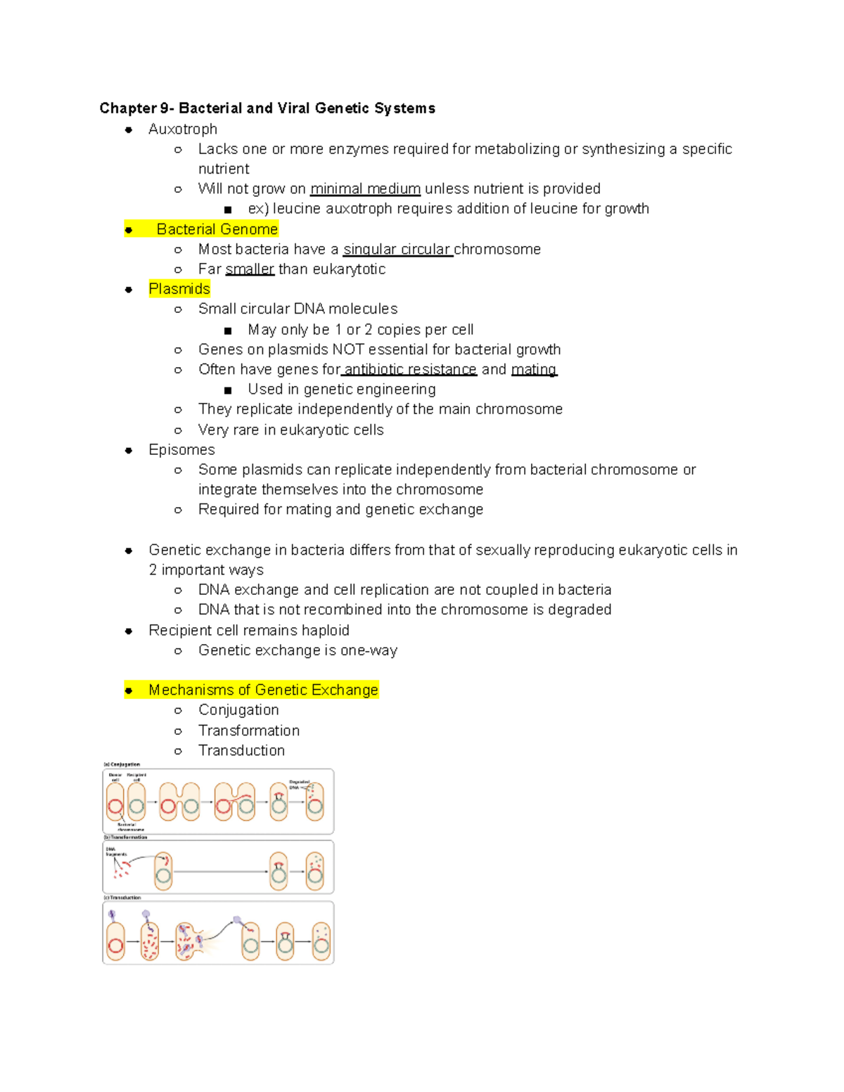 Genetics 9 Notes - Chapter 9- Bacterial and Viral Genetic Systems ...