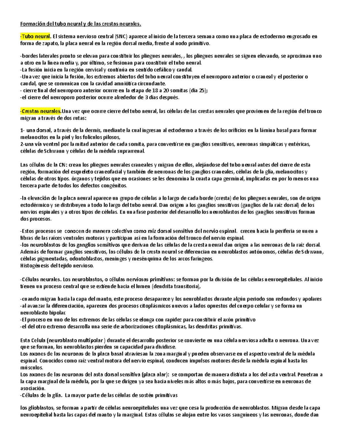 Embriología 2 - Formación del Tubo Neural y Crestas Neurales - Studocu