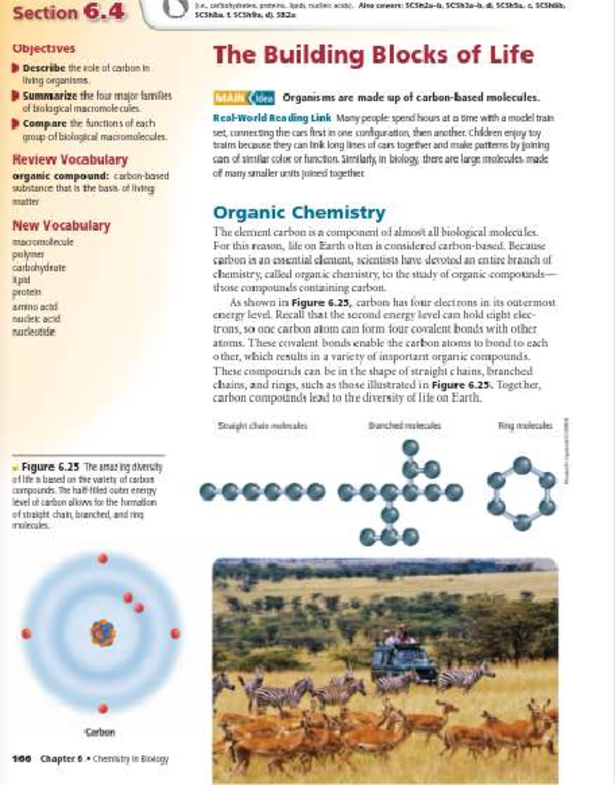Biology 106: The Building Blocks of Life - Macromolecules Overview ...