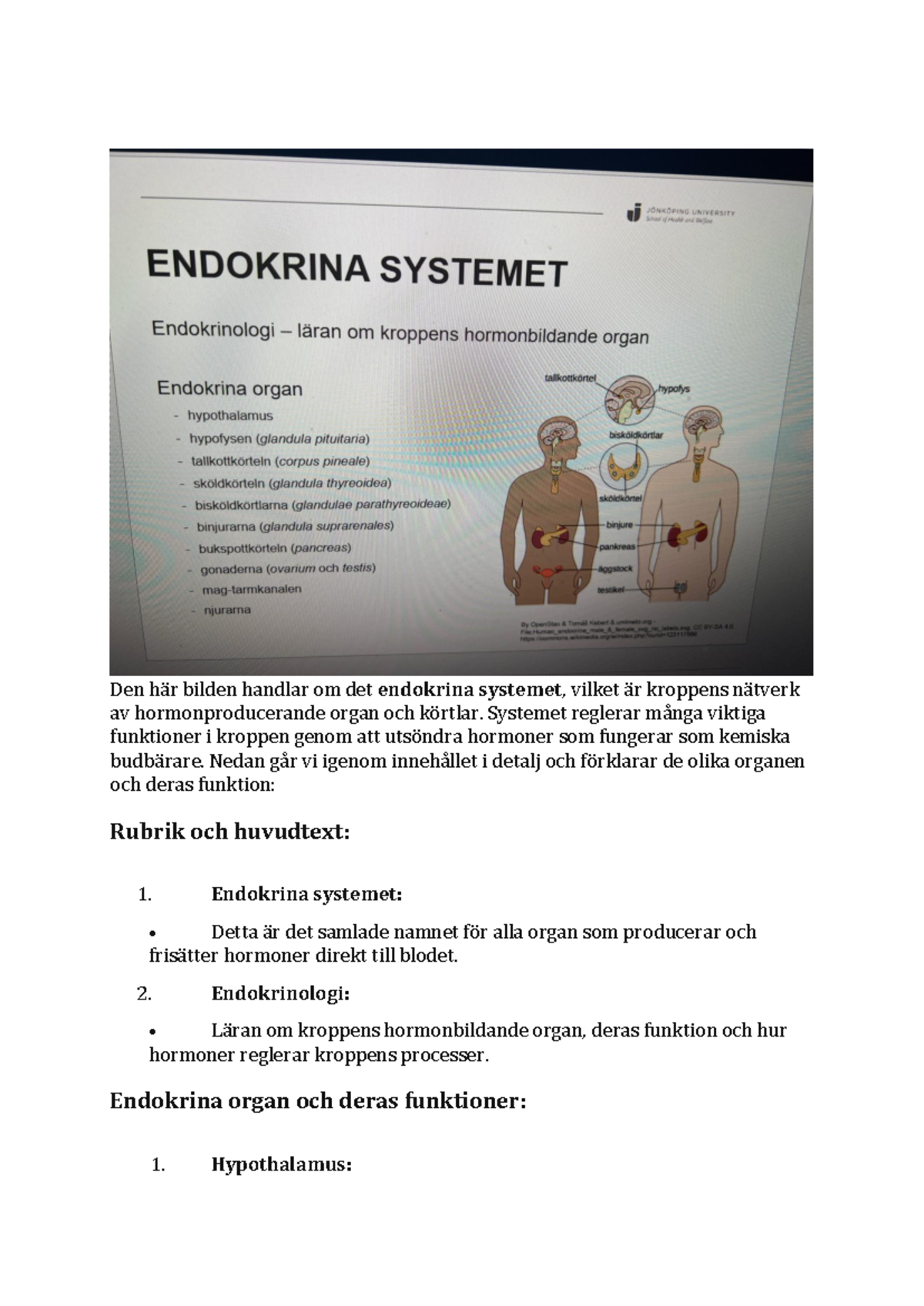 Endokrina samling - Den här bilden handlar om det endokrina systemet, vilket är kroppens nätverk ...