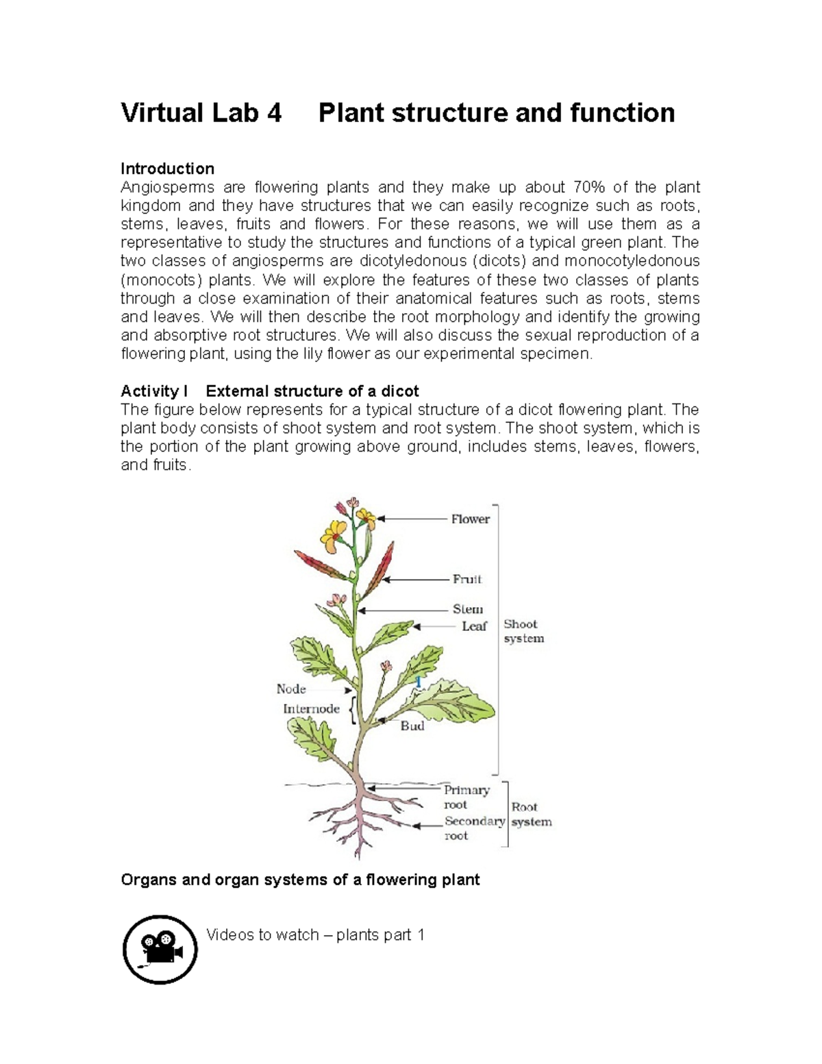 Virtual lab 4 worksheet plant structure and function - Virtual Lab 4 ...