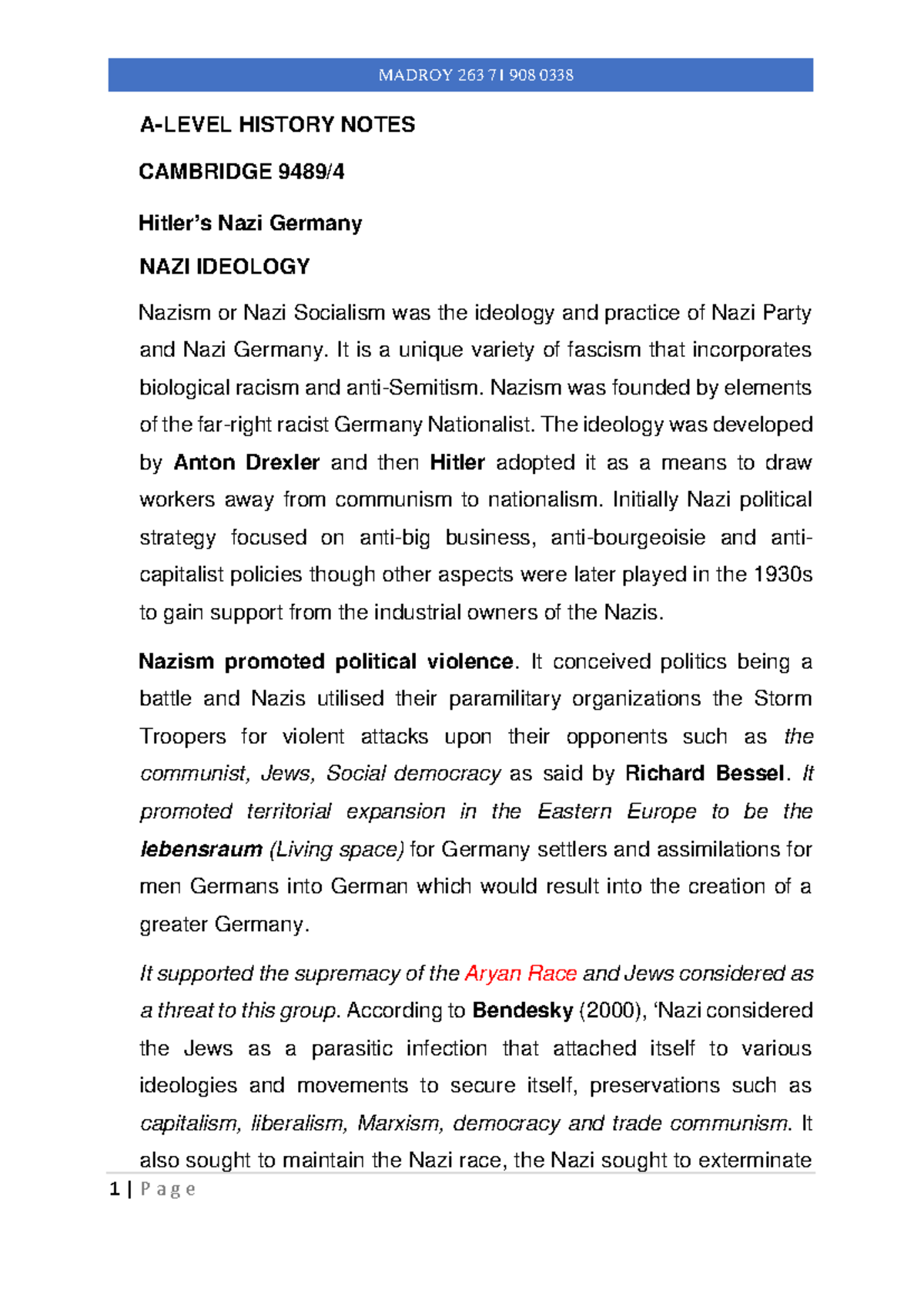 A Level History Notes: Understanding Hitler's Rise in Nazi Germany ...
