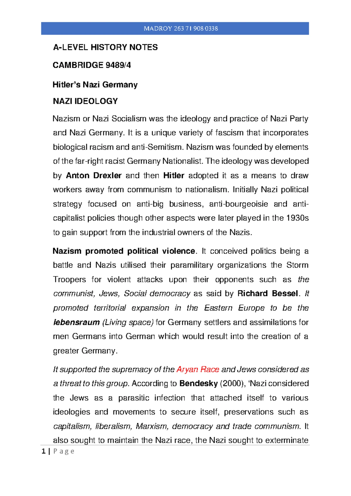 A Level History Notes: Understanding Hitler's Rise in Nazi Germany ...