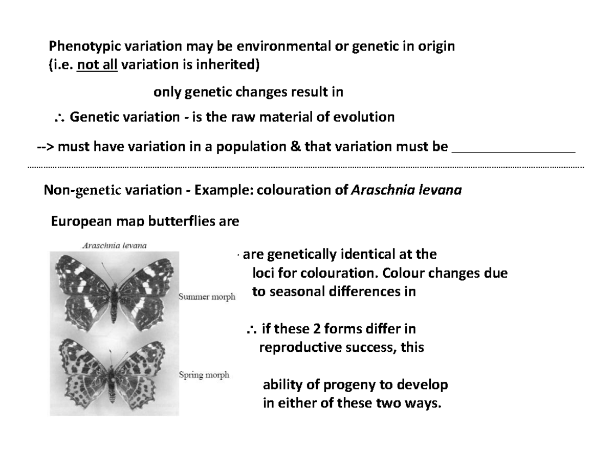 Module 4 (part 3) - spring morph Non-genetic variation - Example ...