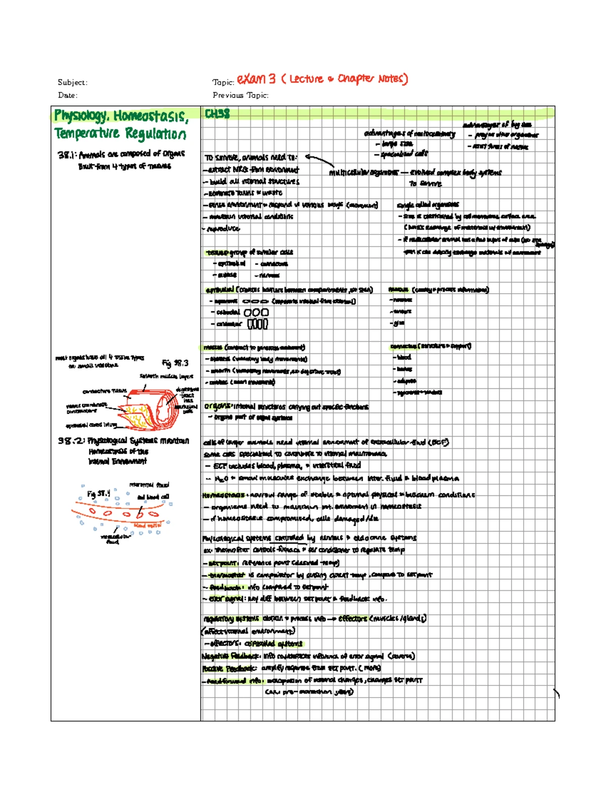Cellular Respiration and Fermentation in Yeast: A Comprehensive Guide ...