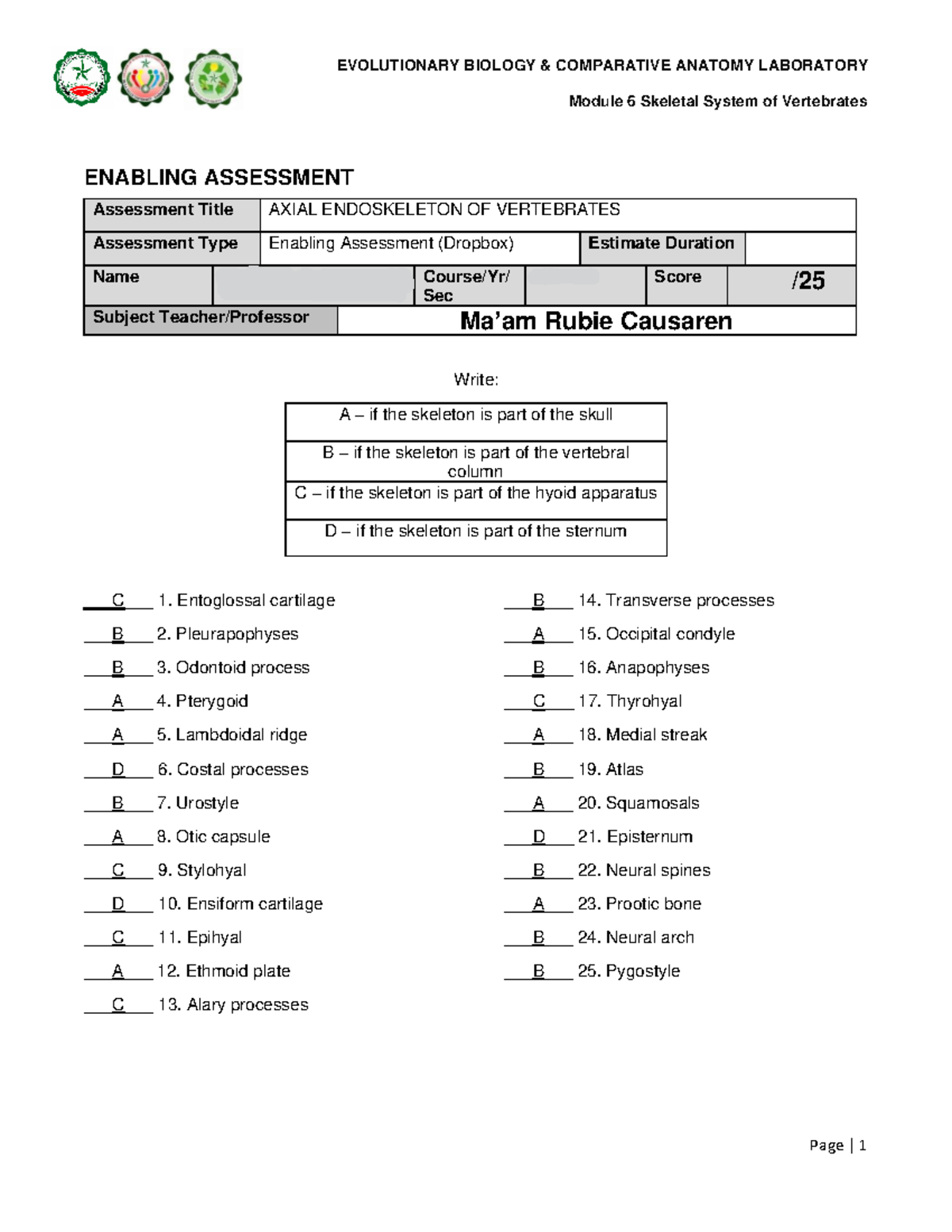 Skeletal System Worksheet - EVOLUTIONARY BIOLOGY & COMPARATIVE ANATOMY ...