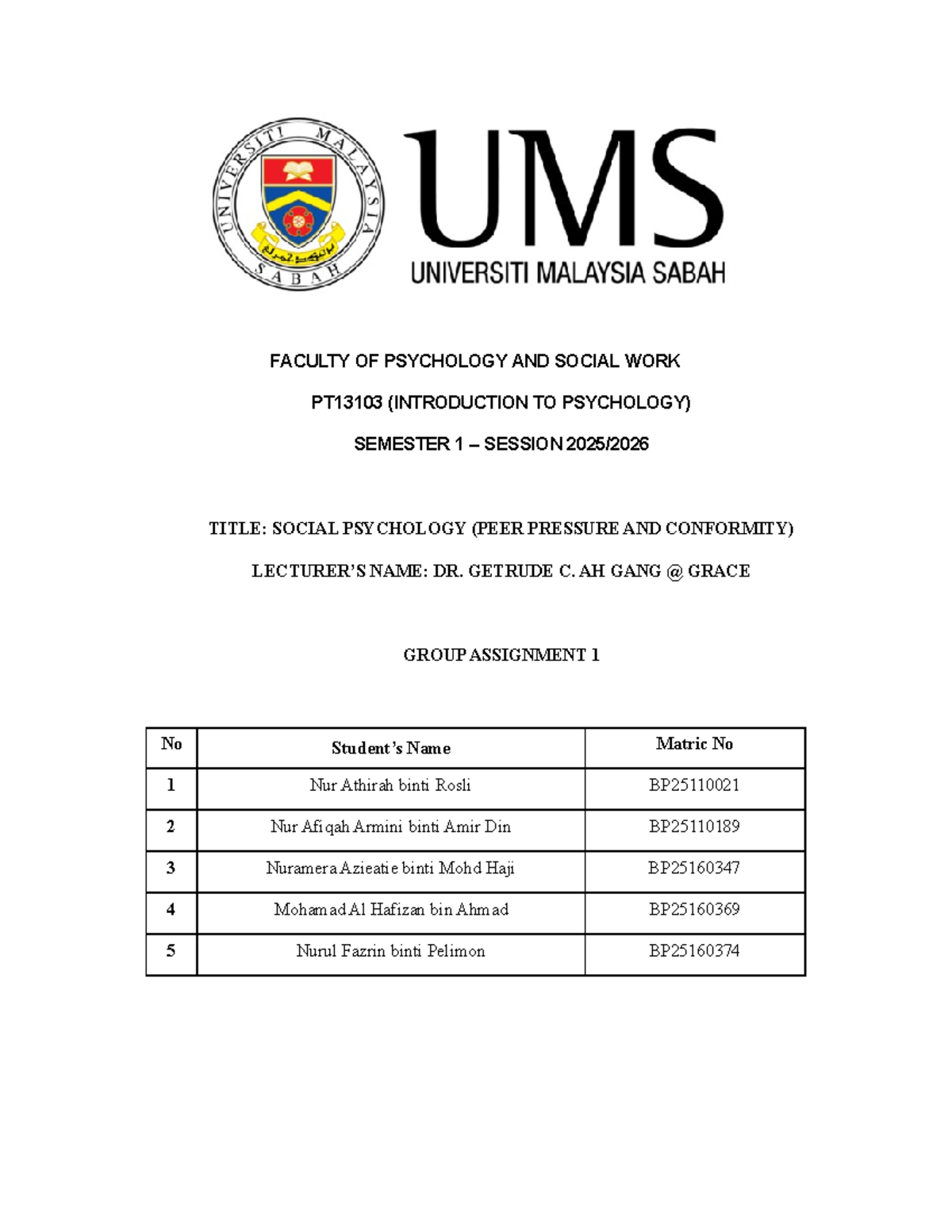PT13103 Group Assignment 1: Exploring Social Psychology of Peer ...