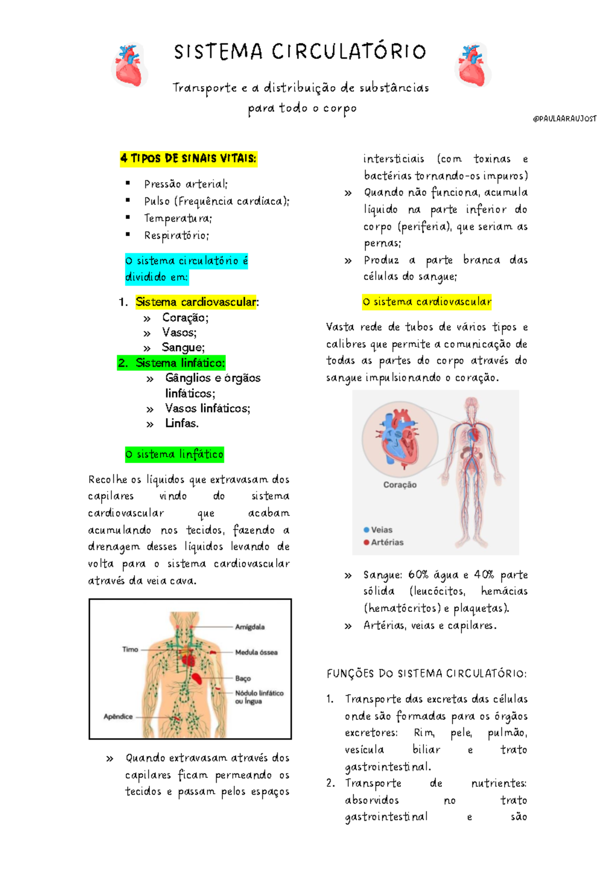 Introdução ao sistema circulatório - SISTEMA CIRCULATÓRIO Transporte e ...