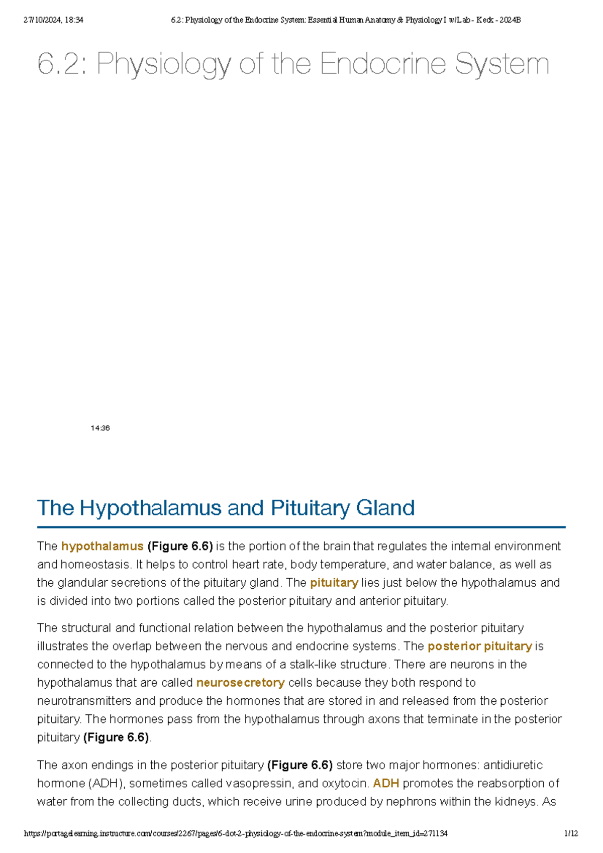 Physiology of the Endocrine System - Essential Anatomy & Physiology I w ...