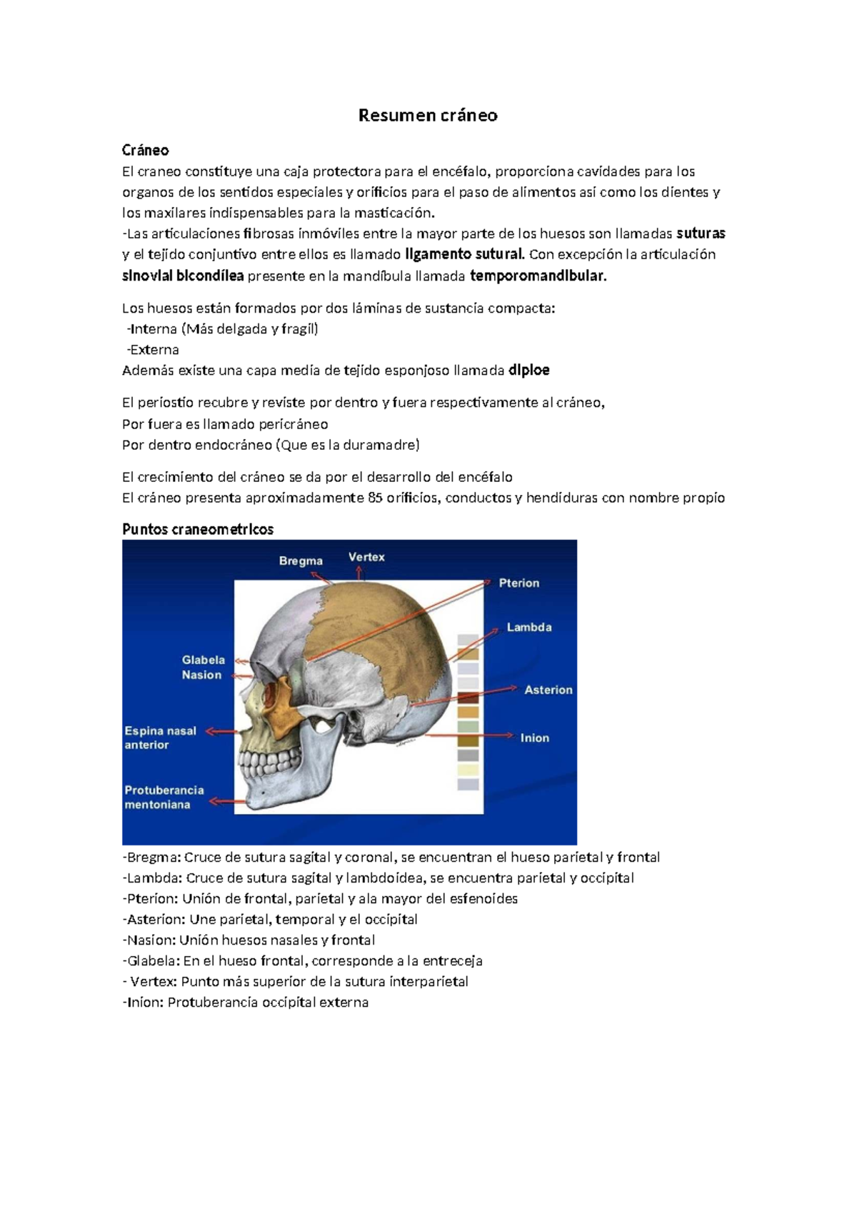 Resumen Del Cráneo Estructura Función Y Anatomía Studocu