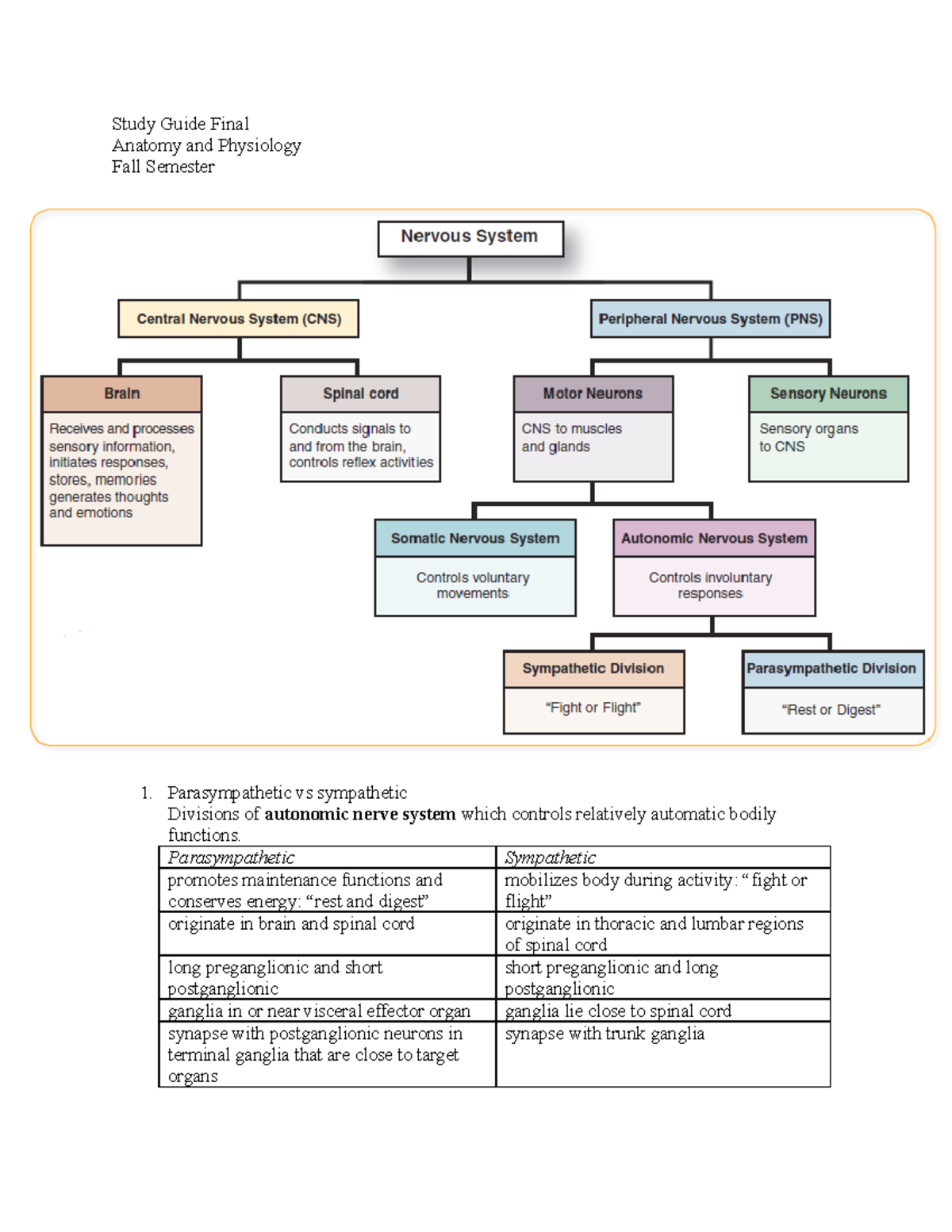 Final Exam Study Guide for Anatomy and Physiology (Fall Semester) - Studocu