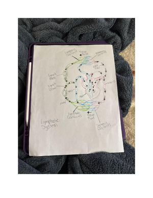 Mod04 Assignment: Coding Exercises Worksheet Overview and Scenarios - Studocu