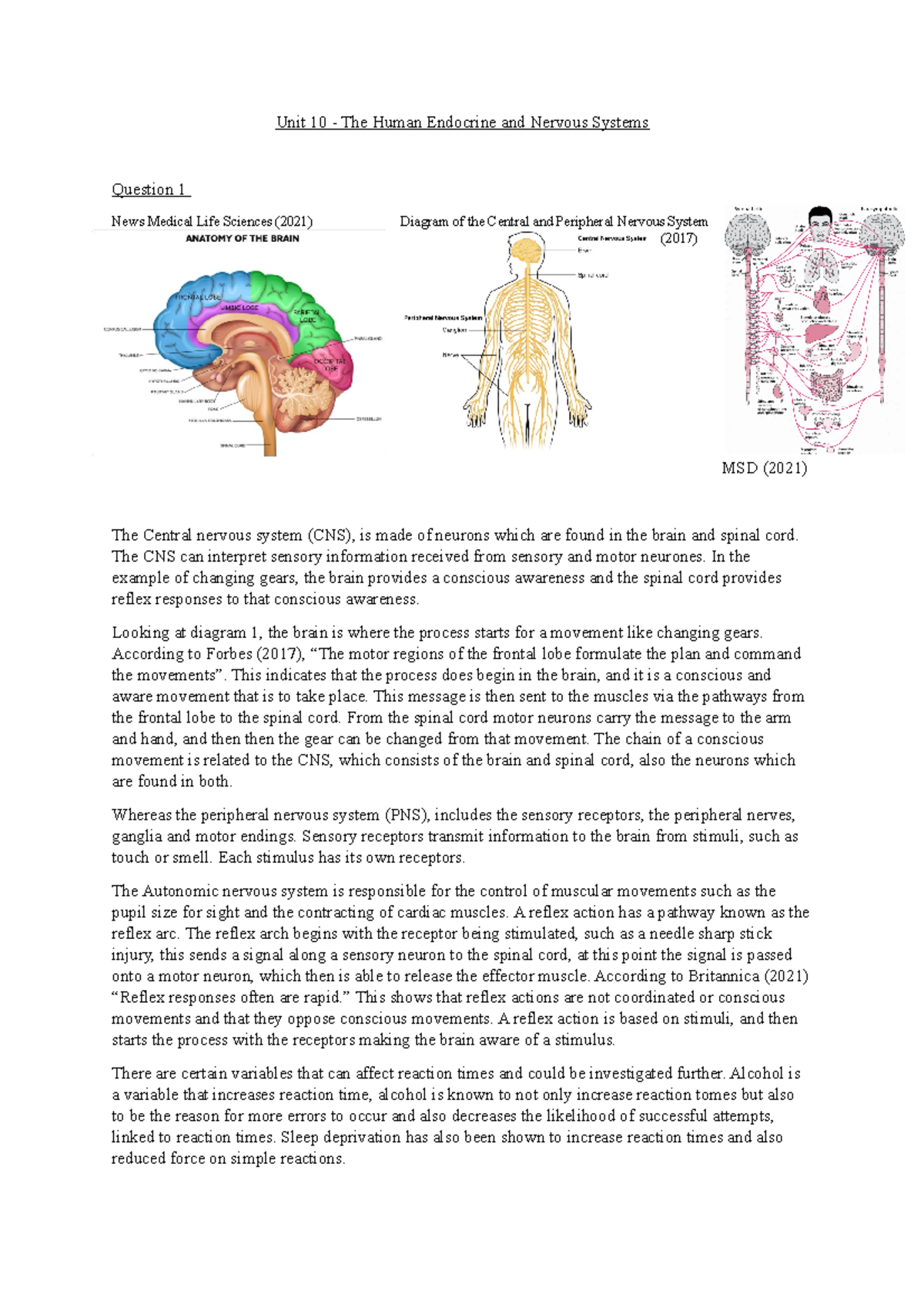 Unit 10 - Exploring Human Endocrine & Nervous Systems Functions - Studocu