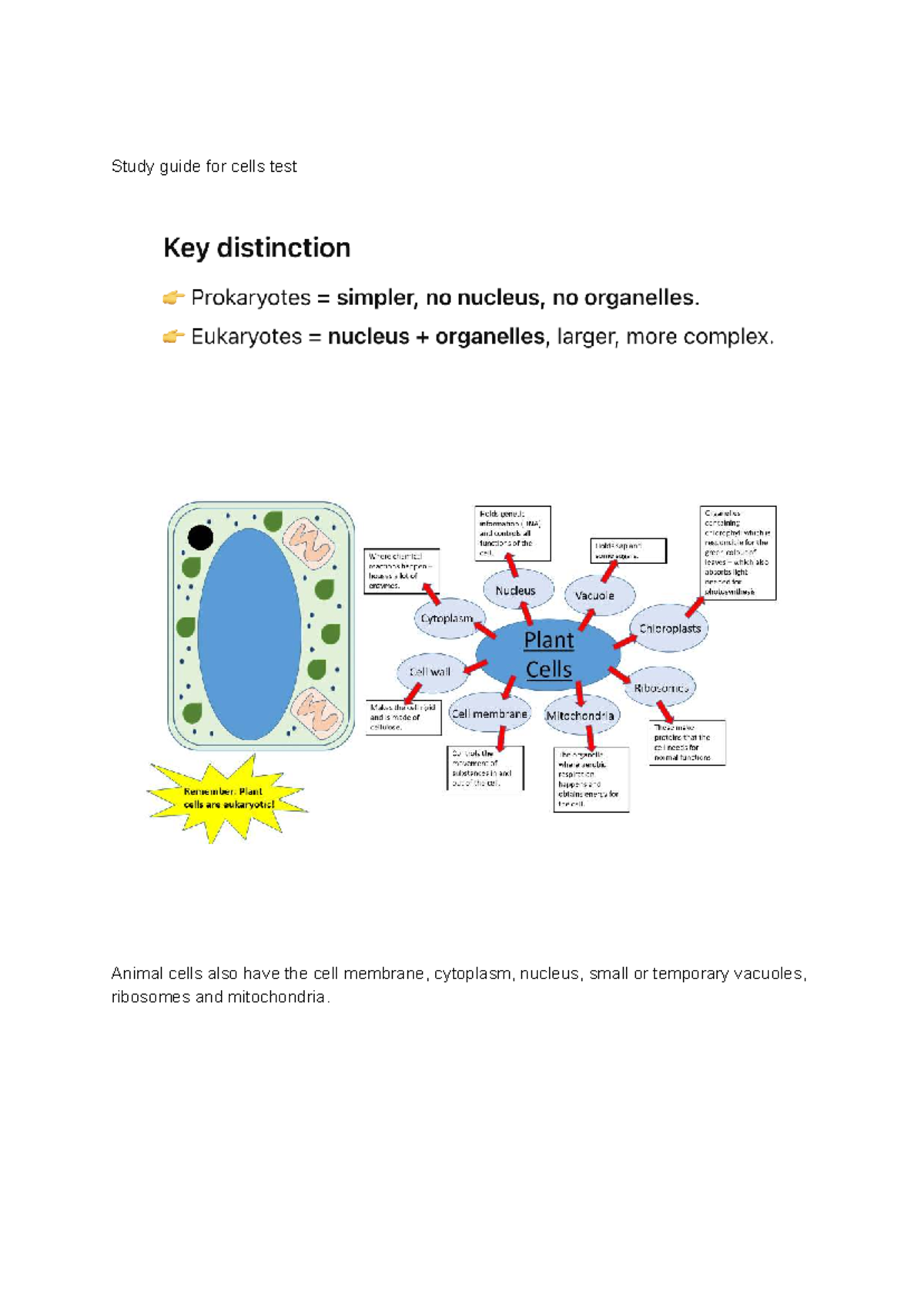 Cells Study Guide for Test: Key Concepts and Functions - Studocu