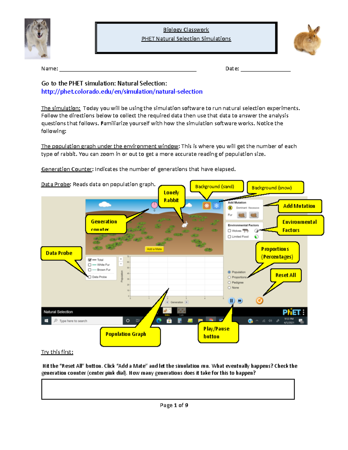 Natural Selection PHET Experiment Instructions for Biology Class - Studocu