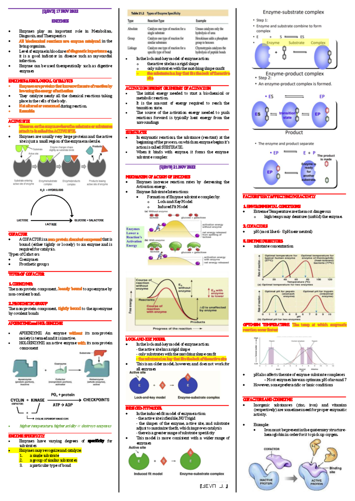 Q2 - Genbio-1: Enzymes and Cellular Metabolism Overview - Studocu