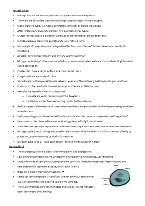 Cockle Feeding and Life Cycle - ZOE ECKHOFF RELEVANT BIOLOGY / ECOLOGY ...
