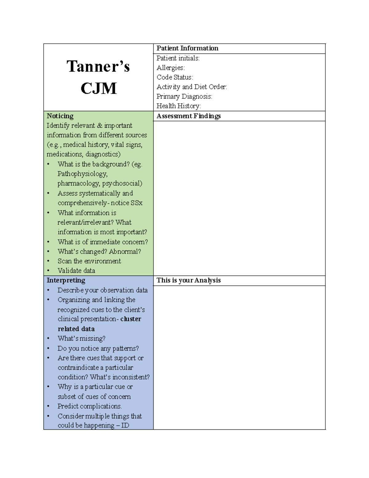CJM 3030 Patient Assessment and Care Plan Template - Studocu