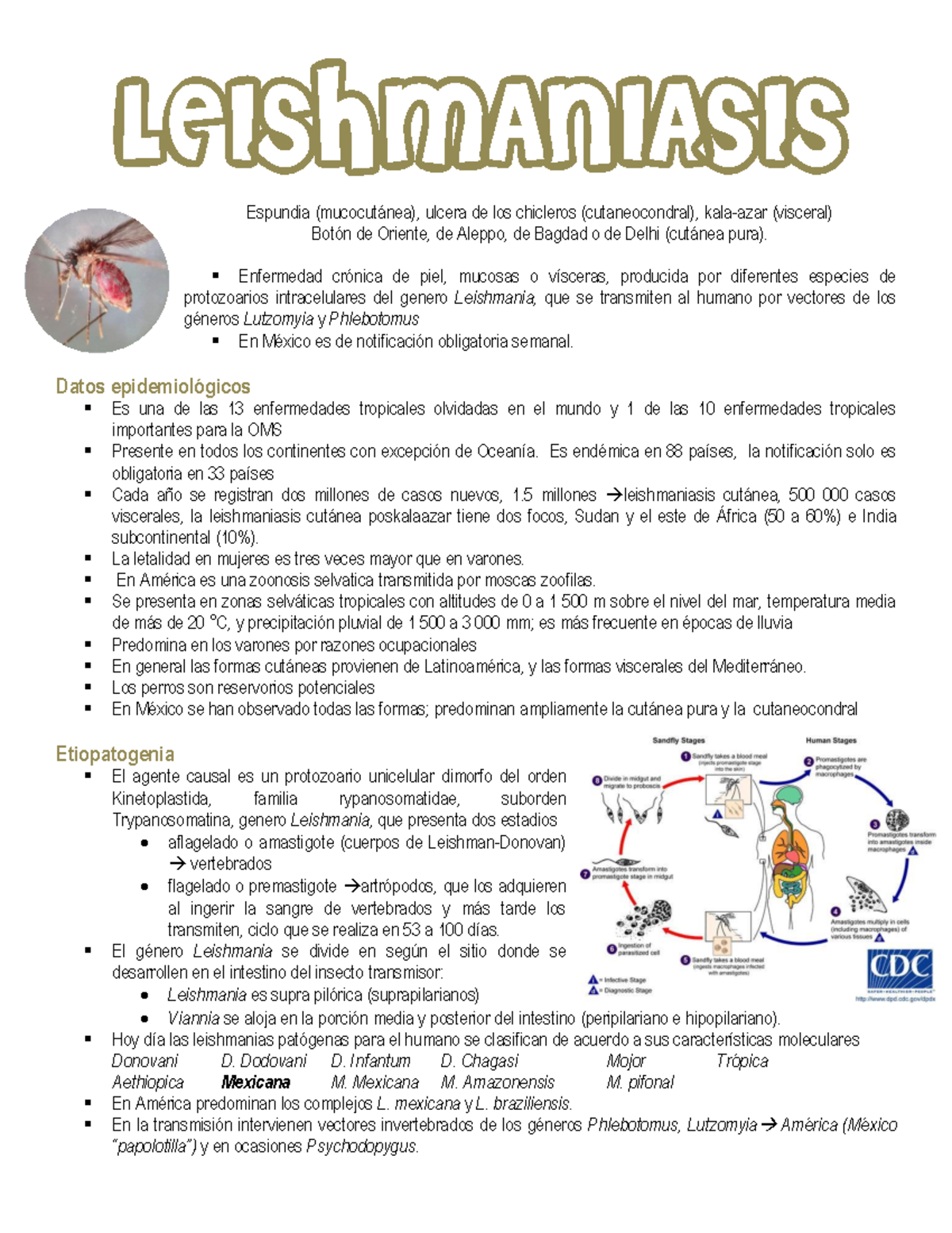 Leishmaniasis: Epidemiología, Diagnóstico y Tratamiento - DERMATOLOGÍA ...
