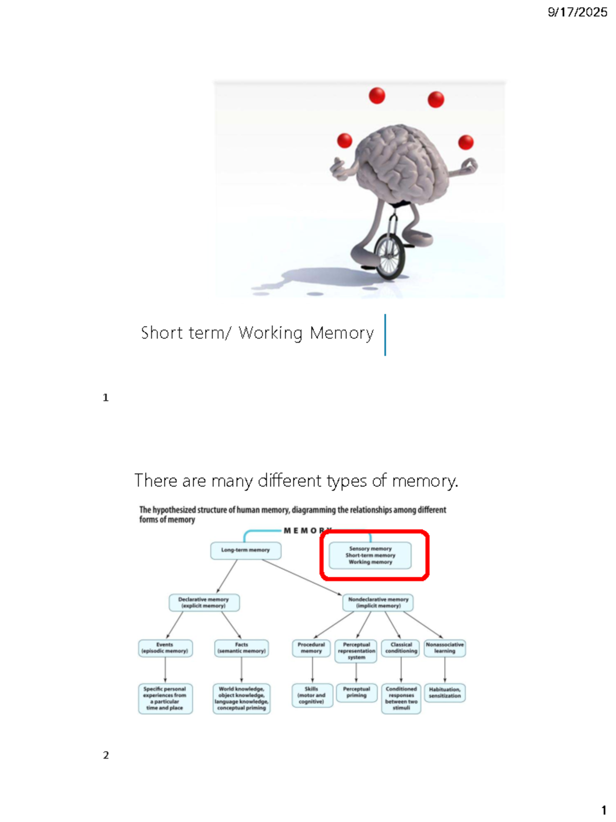 PSY 101: Short-Term and Working Memory Overview and Key Models - Studocu