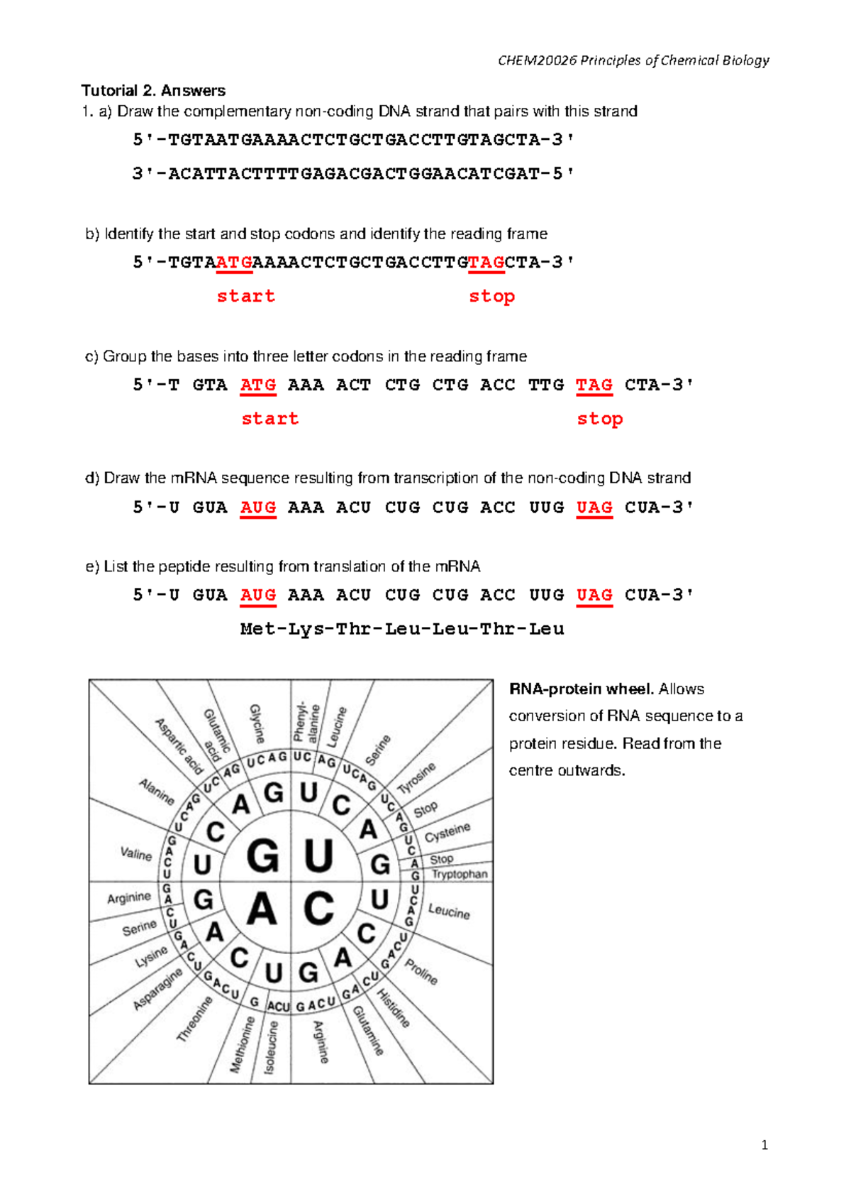 CHEM20026 Principles of Chemical Biology Tutorial 2 Answers - Studocu
