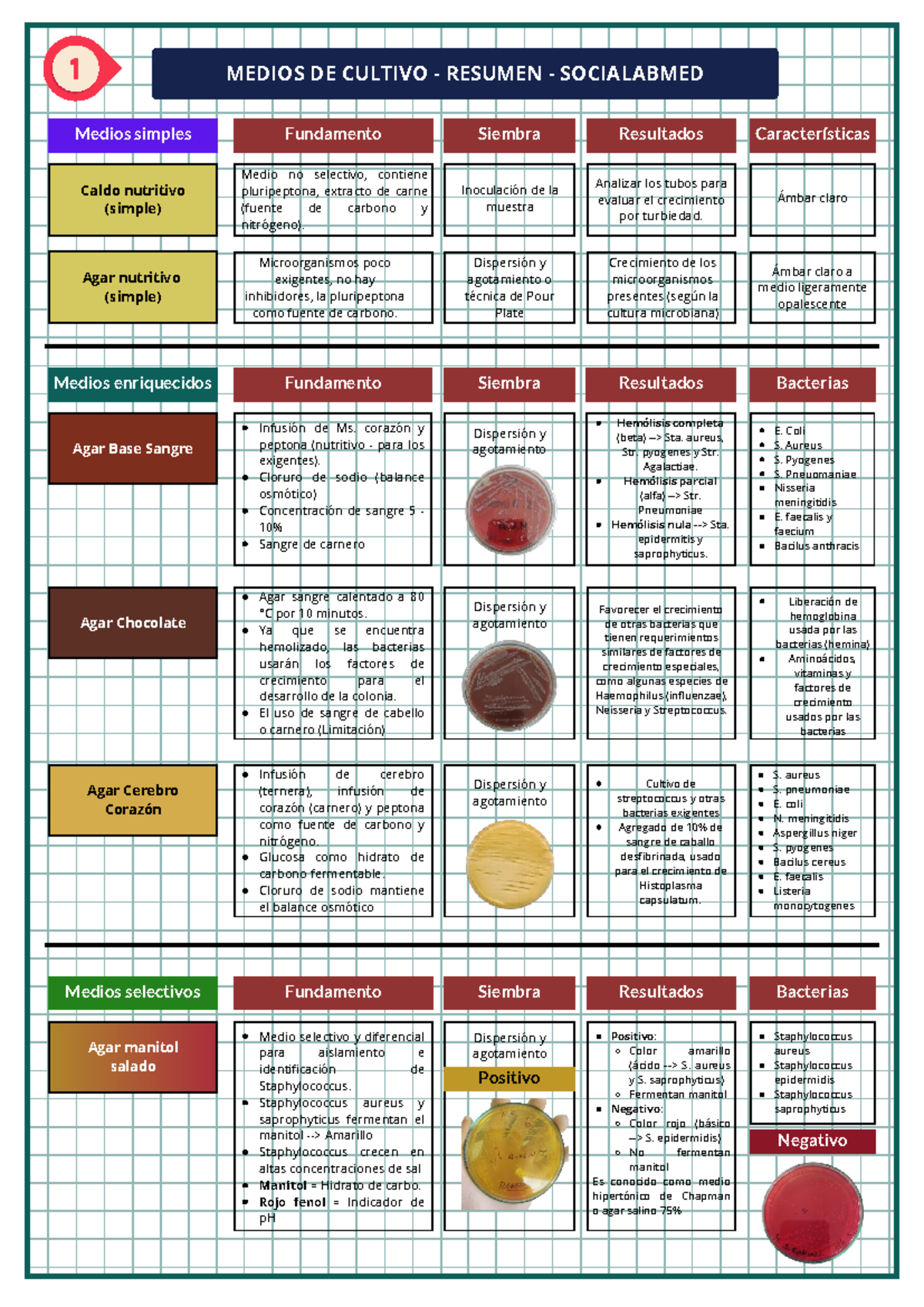 Medios DE Cultivo - Medios simples Fundamento Siembra Resultados ...