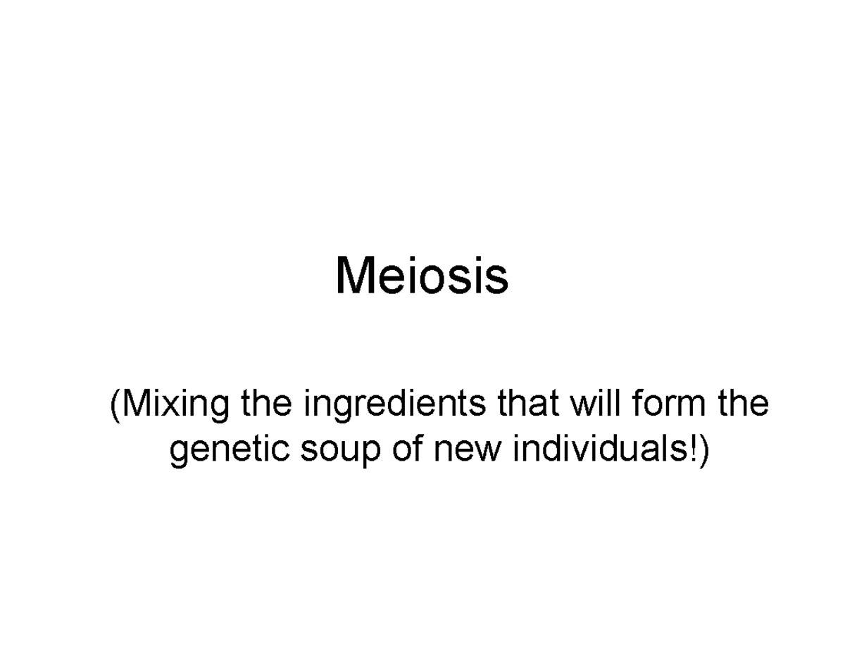 Meiosis (BIO101): Processes, Stages, and Genetic Variation in Humans ...