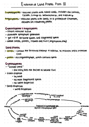 Biol 1108 Unit II - Plant's reproduction - The evolution of two ...