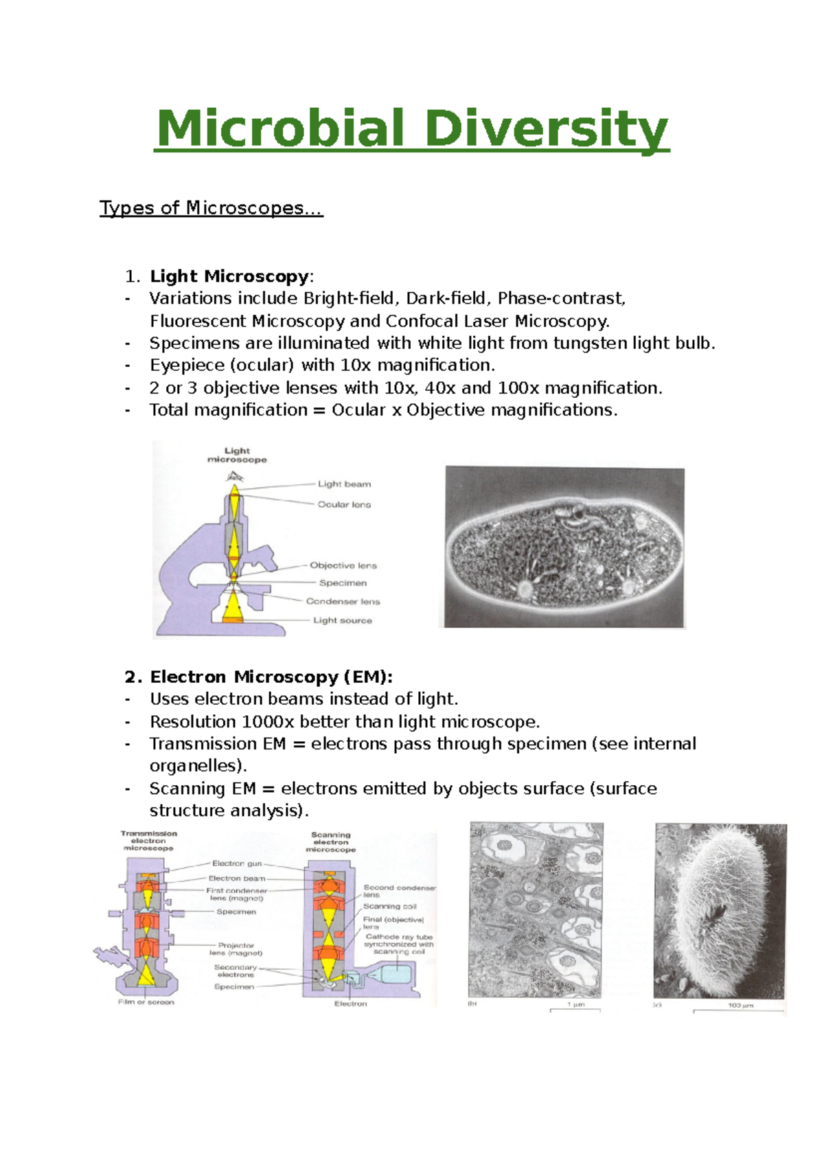 Microbial Diversity Notes - Microbial Diversity Types of Microscopes ...