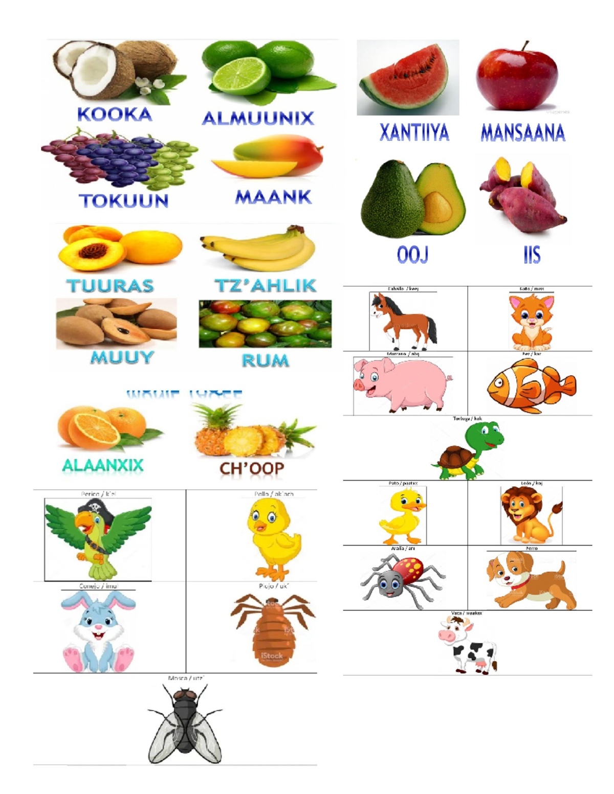 Palabras en Poqomam: Vocabulario Cultural y Cotidiano 100 - Studocu