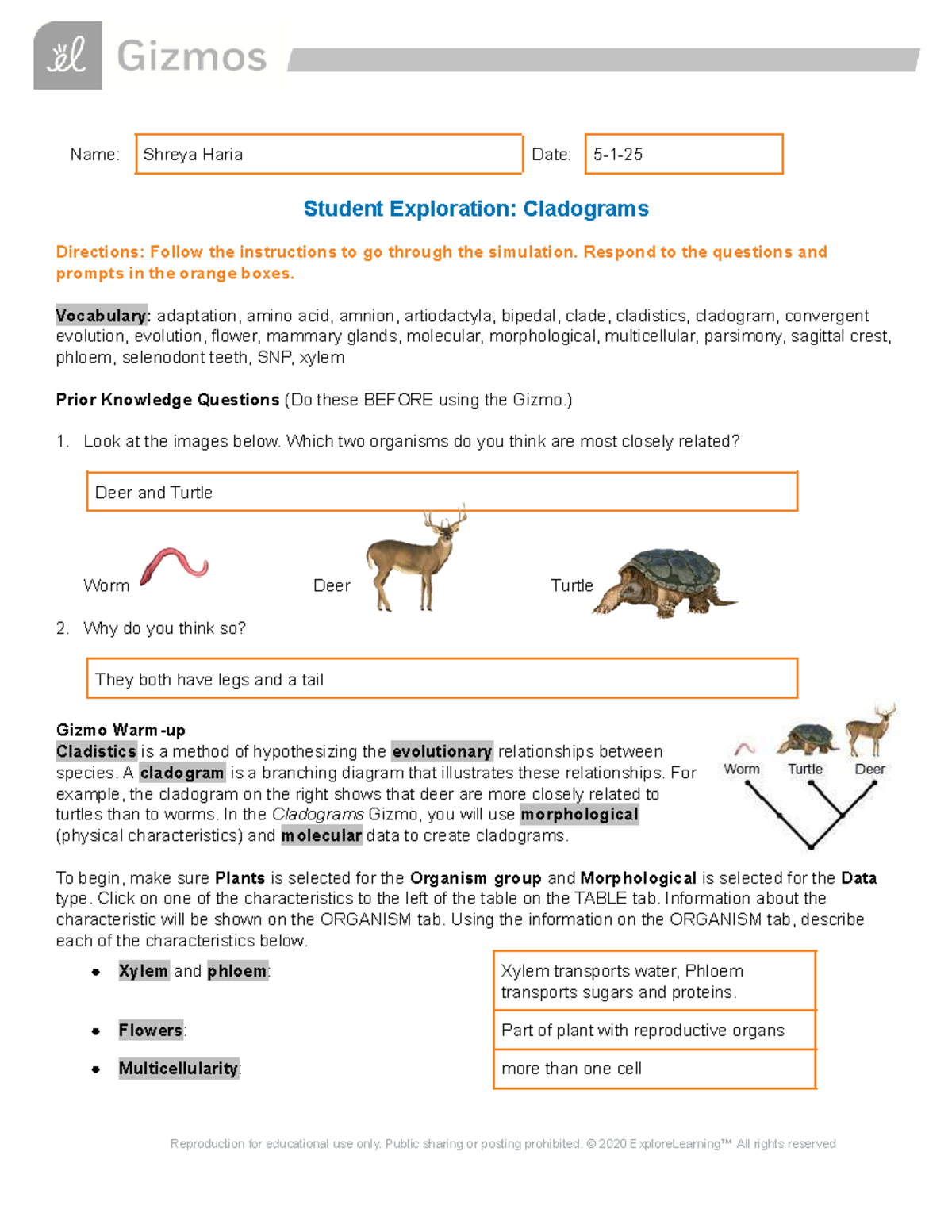 Student Exploration: Cladograms SE - Creating and Analyzing Cladograms ...