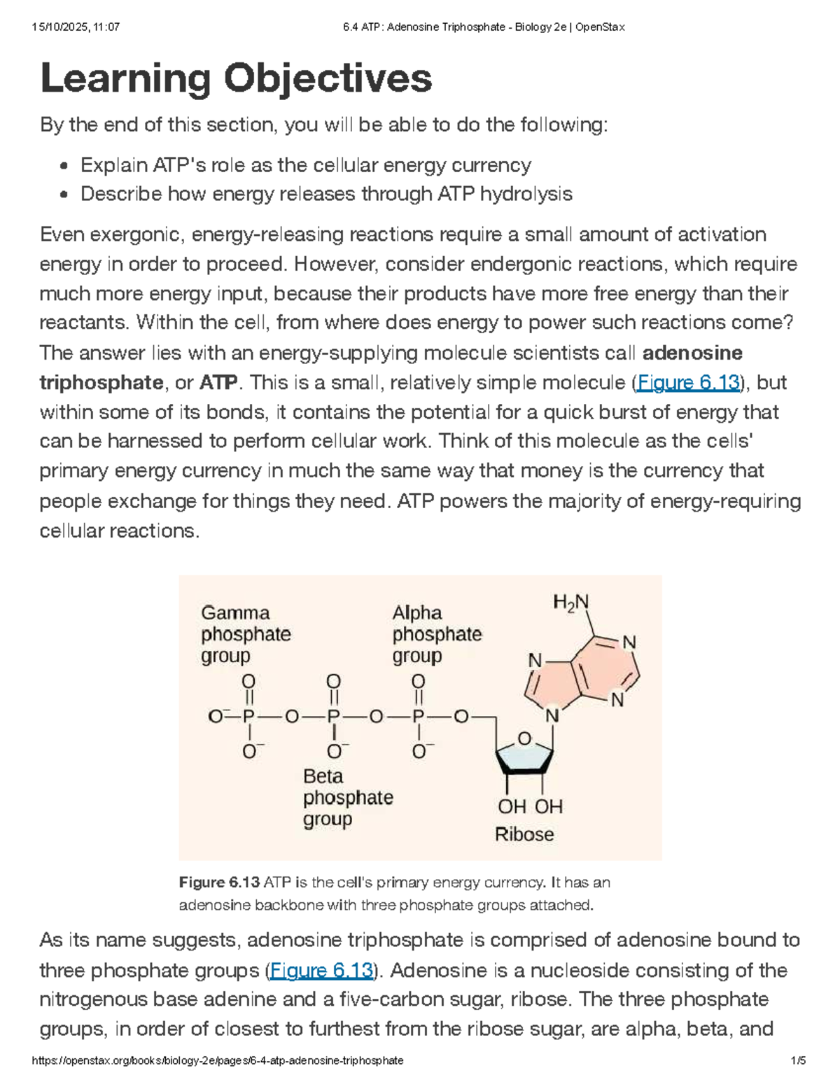 ATP: The Energy Currency of Cells - Key Concepts & Functions - Studocu