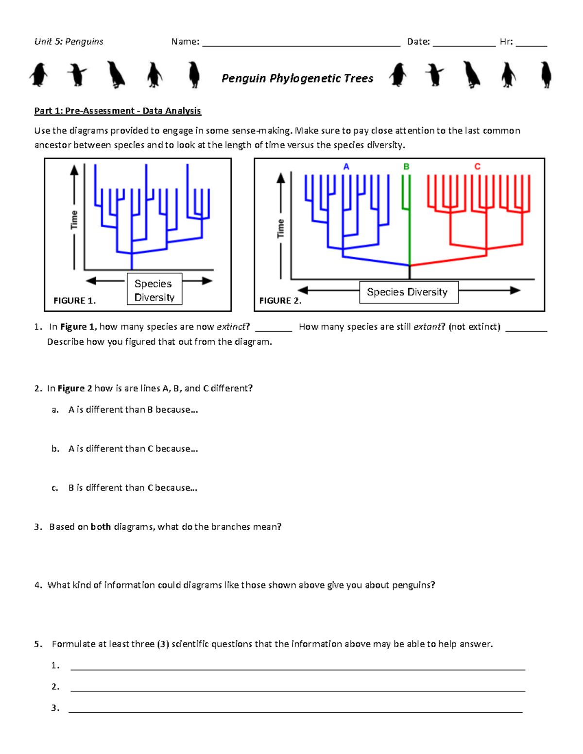 Penguin Phylogeny Analysis: Understanding Evolutionary Relationships ...