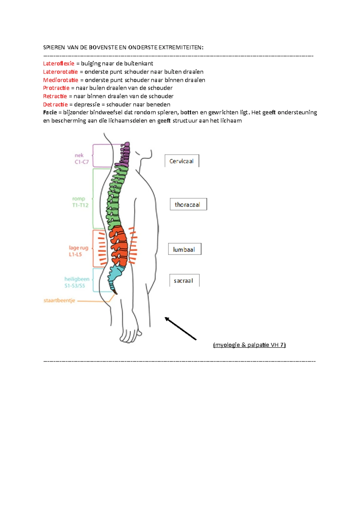 Anatomie van de heup - Botten en spieren: Locaties en functies ...