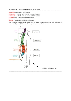 Anatomie van de Hamstrings: Myologie en Spierfunctie uitleg - Studeersnel