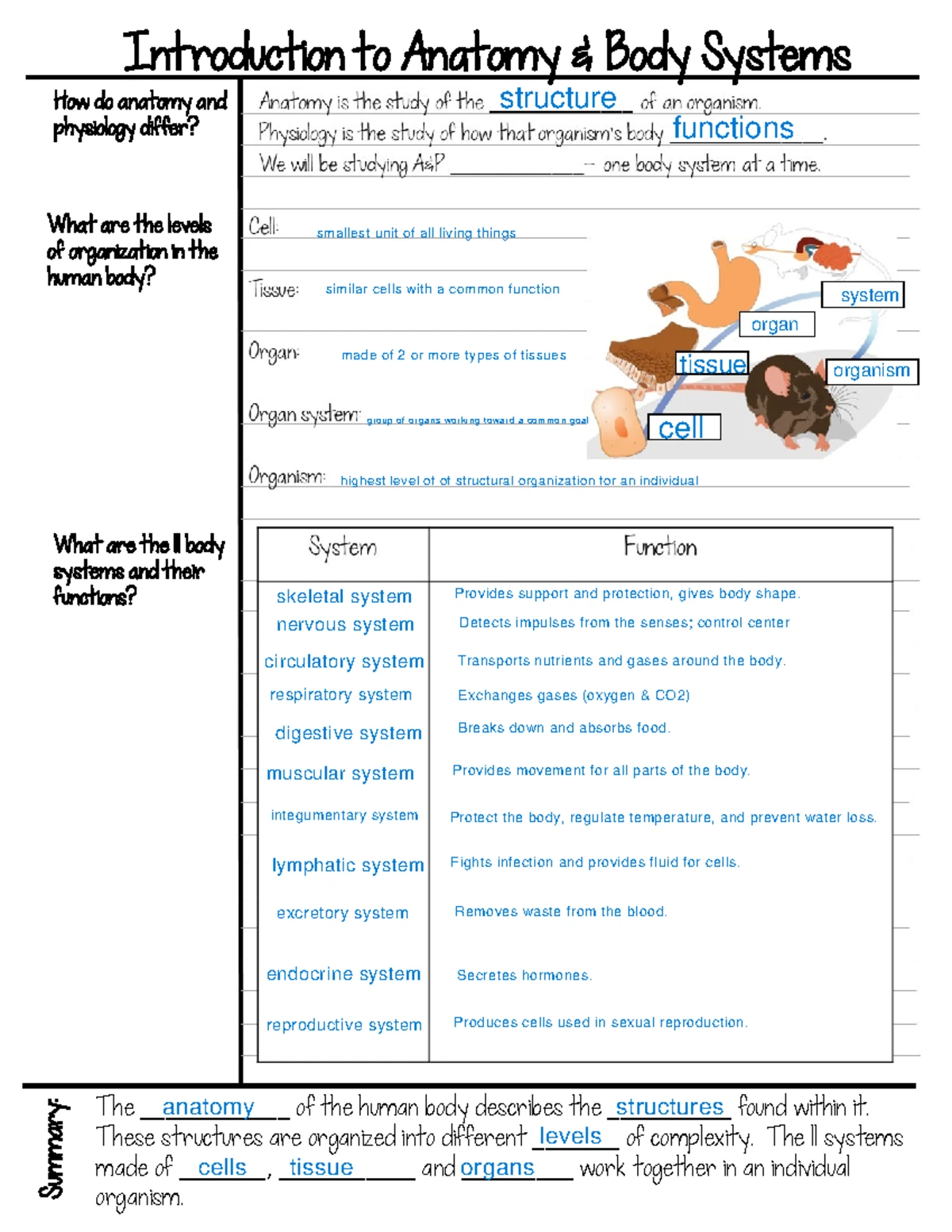 Directional Terms Quiz Practice (BIOL 101) - Studocu