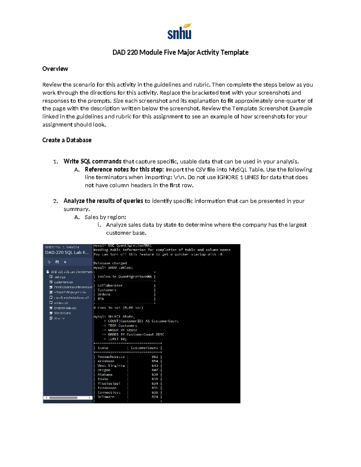 DAD 220 Module Five Major Activity Template Fitzgerald - DAD 220 Module ...