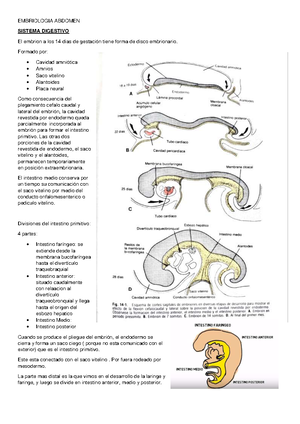 Embriología del Sistema Nervioso Central - Niky Nicole y Joshuá - Studocu