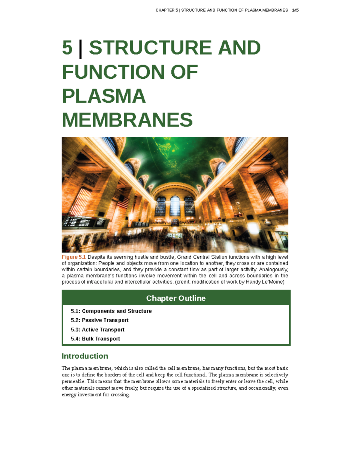 CHAPTER 5: STRUCTURE AND FUNCTION OF PLASMA MEMBRANES OVERVIEW - Studocu