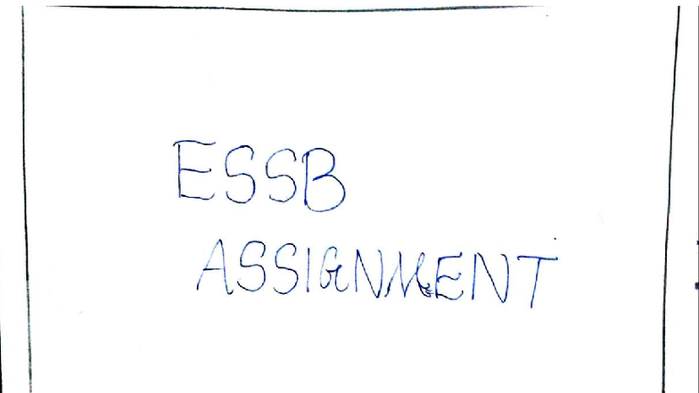 ESSB Assignment: Integrating Sustainability in Urban Infrastructure ...