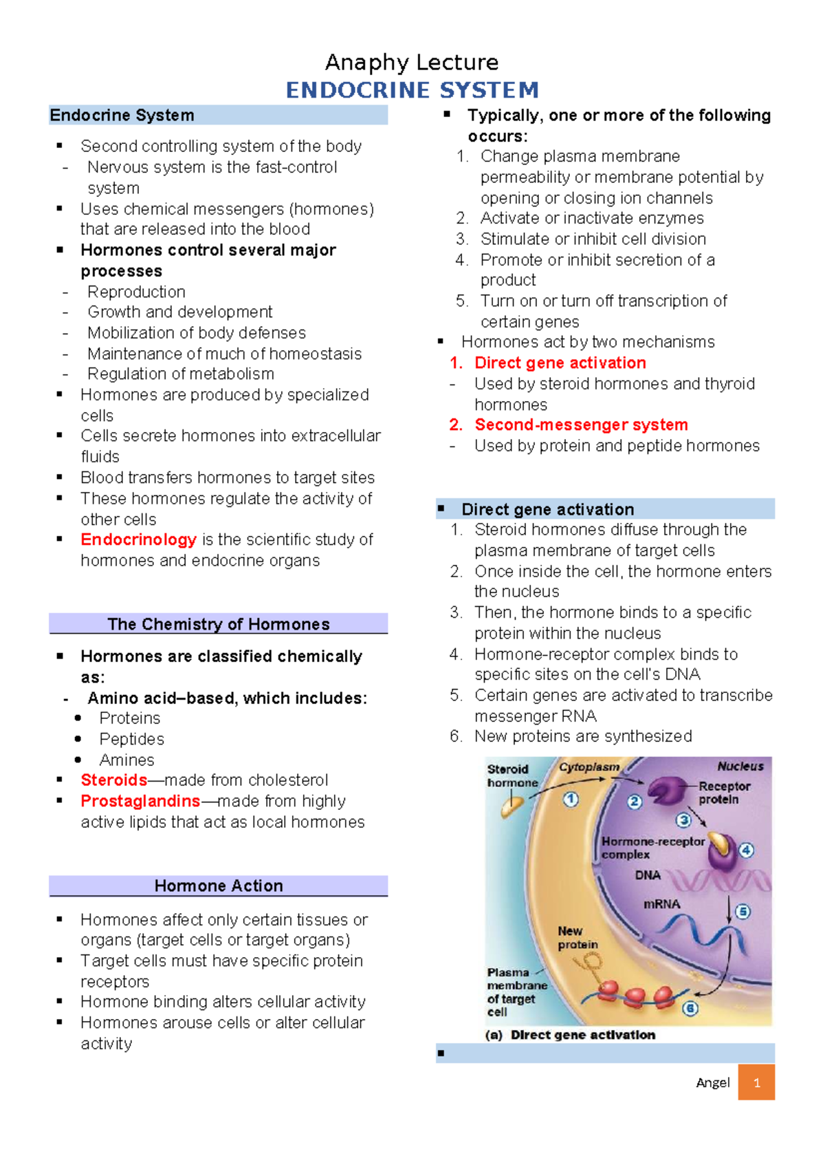 Endocrine System Overview - ANAPHY Lecture Notes - Studocu