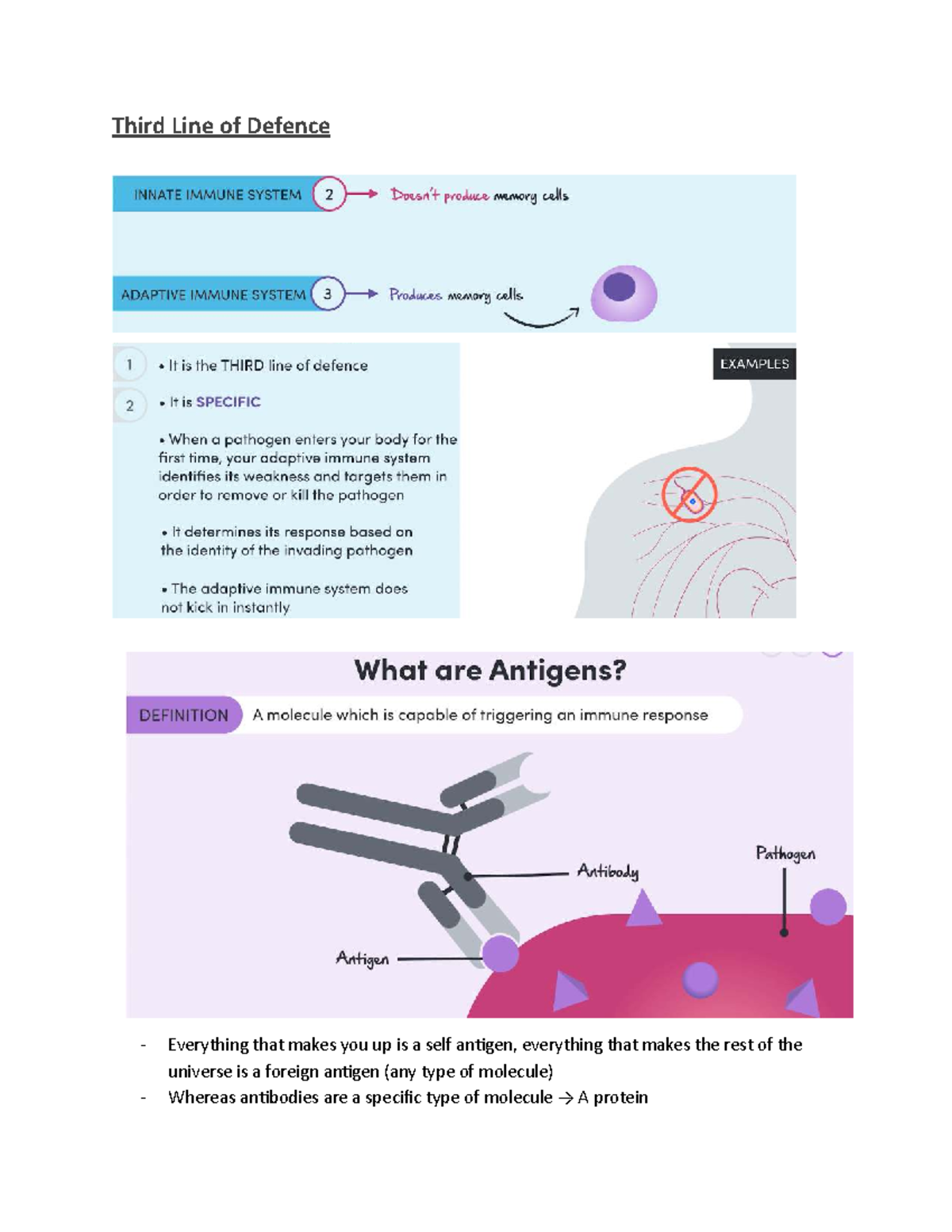 Adaptive Immunity: Understanding the Third Line of Defence - Studocu