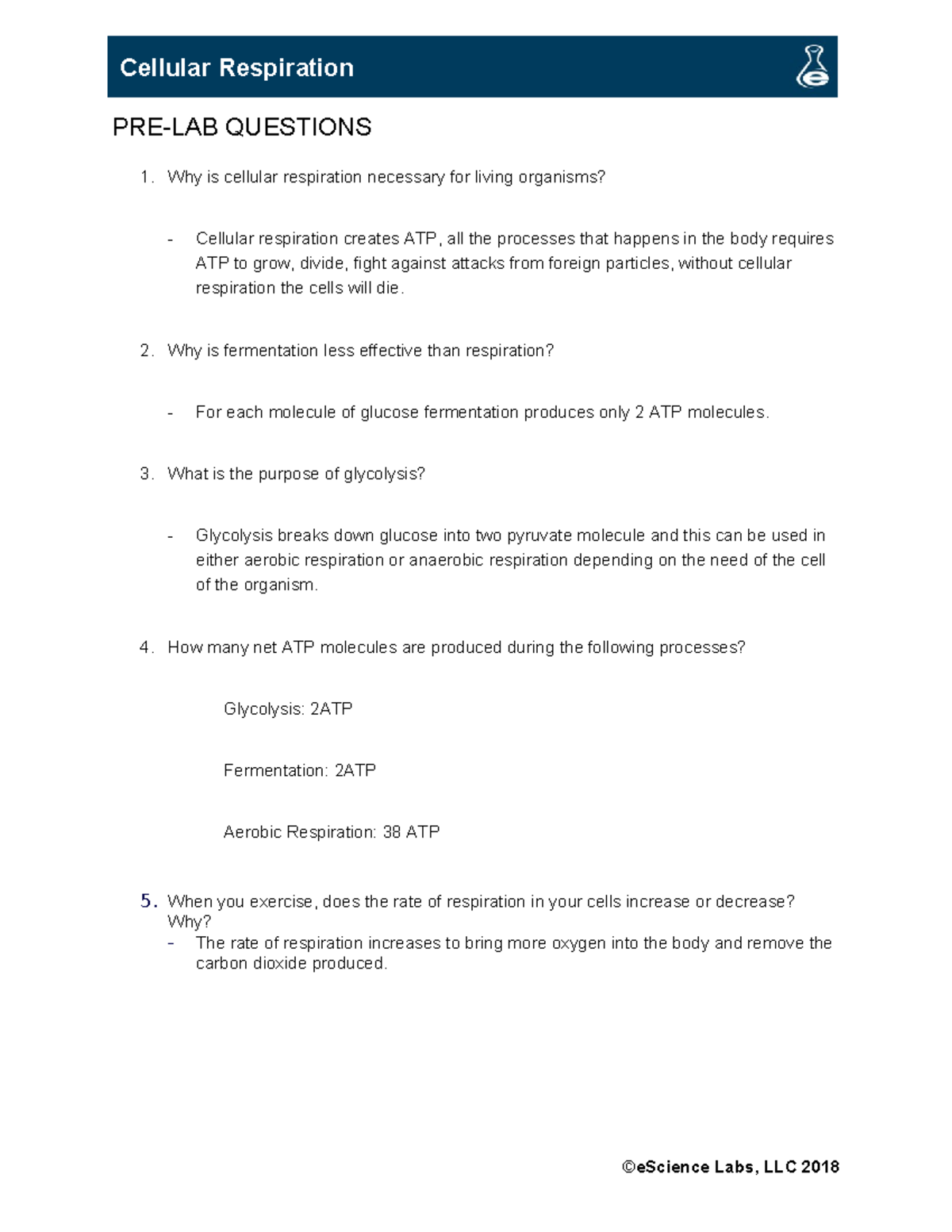 Cellular Respiration - PRE-LAB QUESTIONS - Why is cellular respiration ...