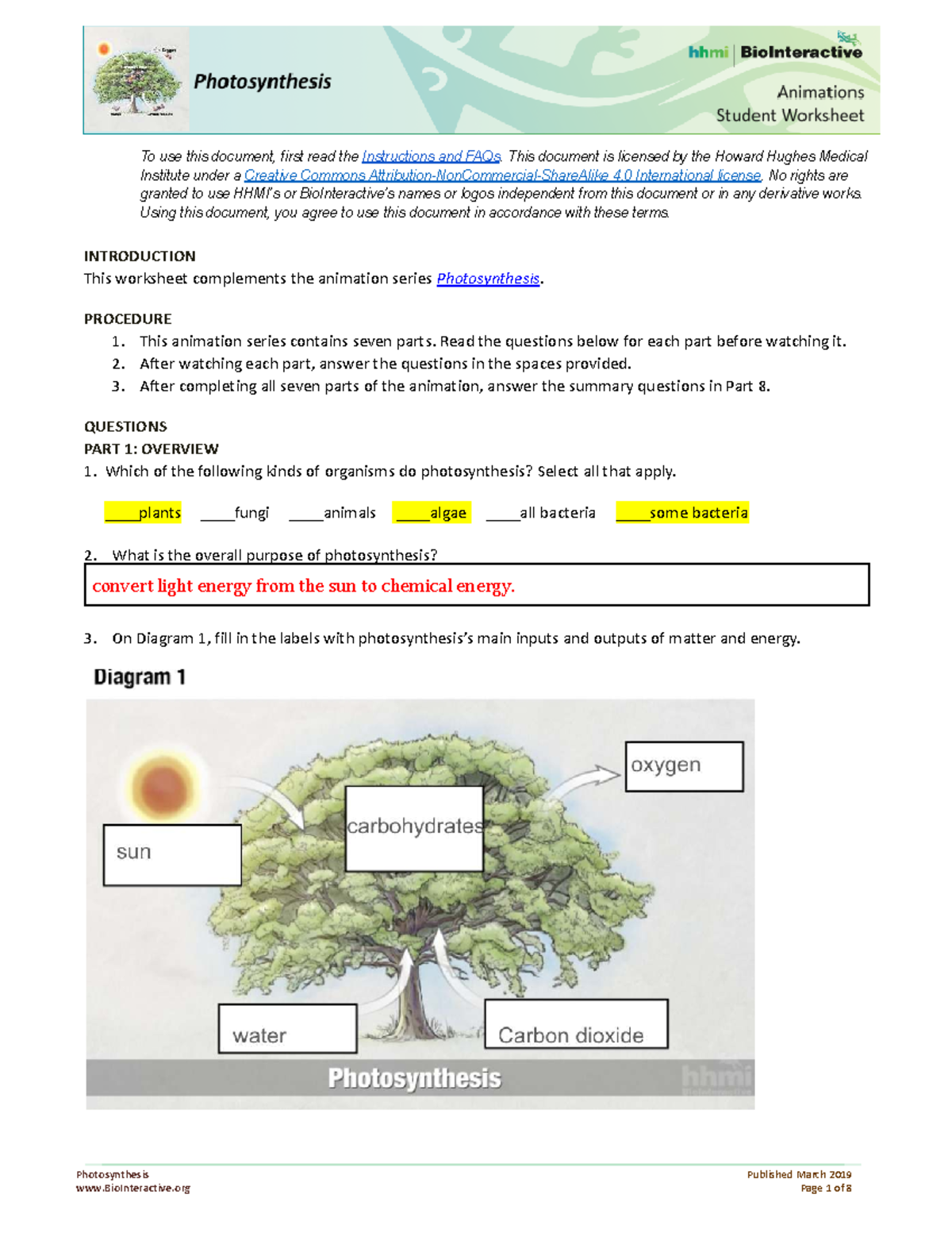 Photosynthesis Worksheet: Animation Series Questions & Summary - Studocu