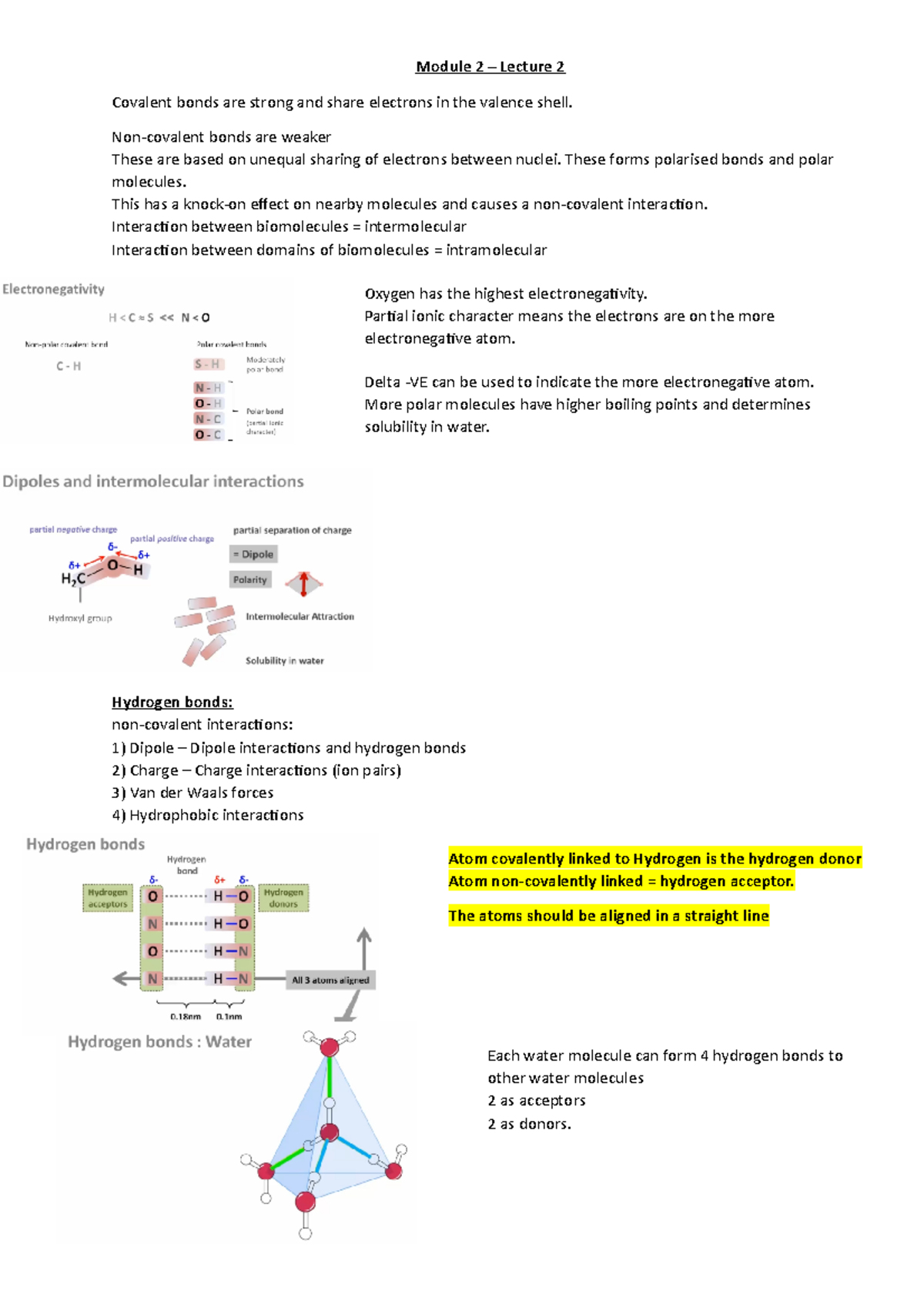 Module 2 - Lecture 2: Interactions in Biochemistry - Studocu