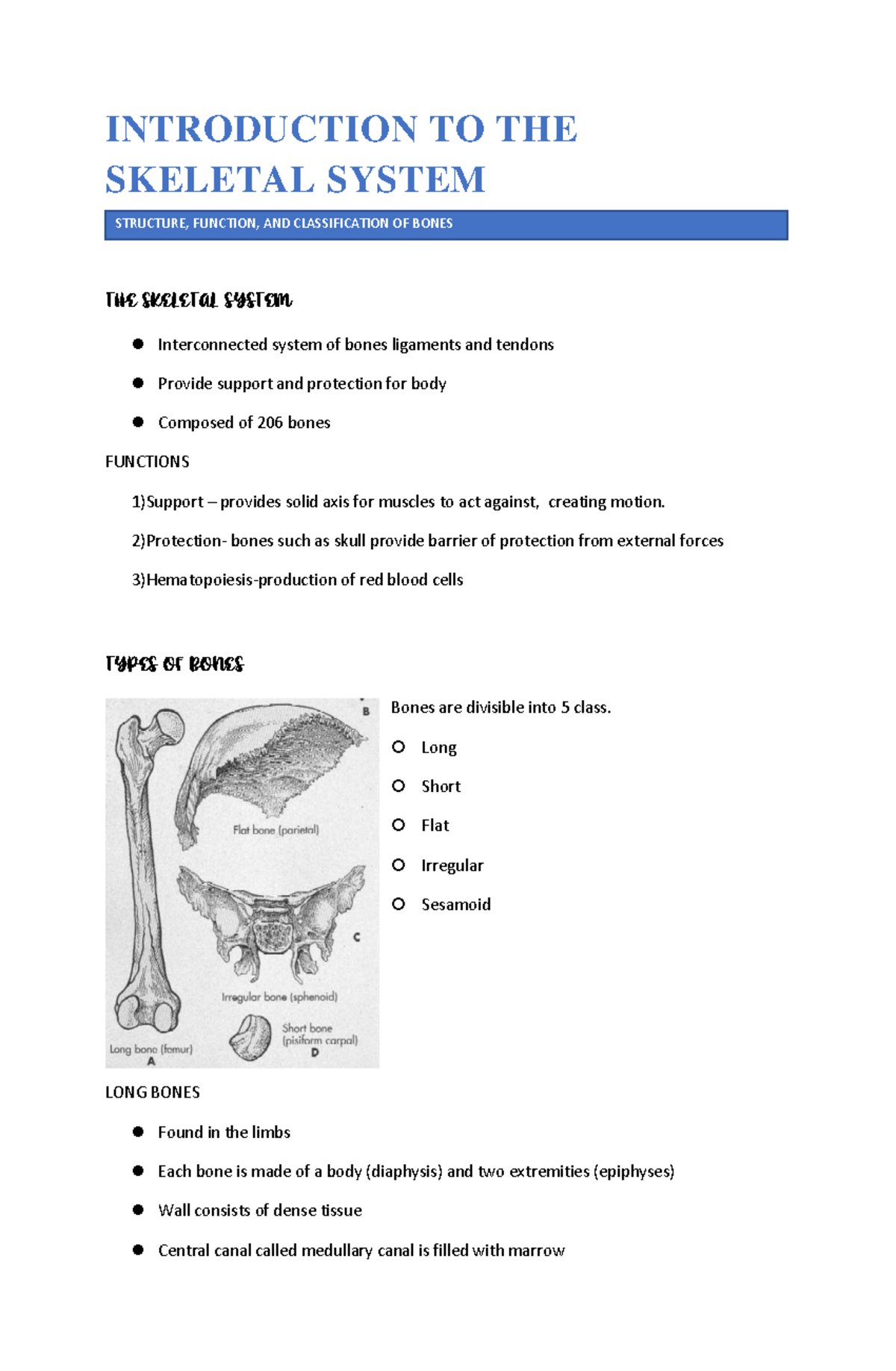 The Skeletal System - INTRODUCTION TO THE SKELETAL SYSTEM STRUCTURE ...